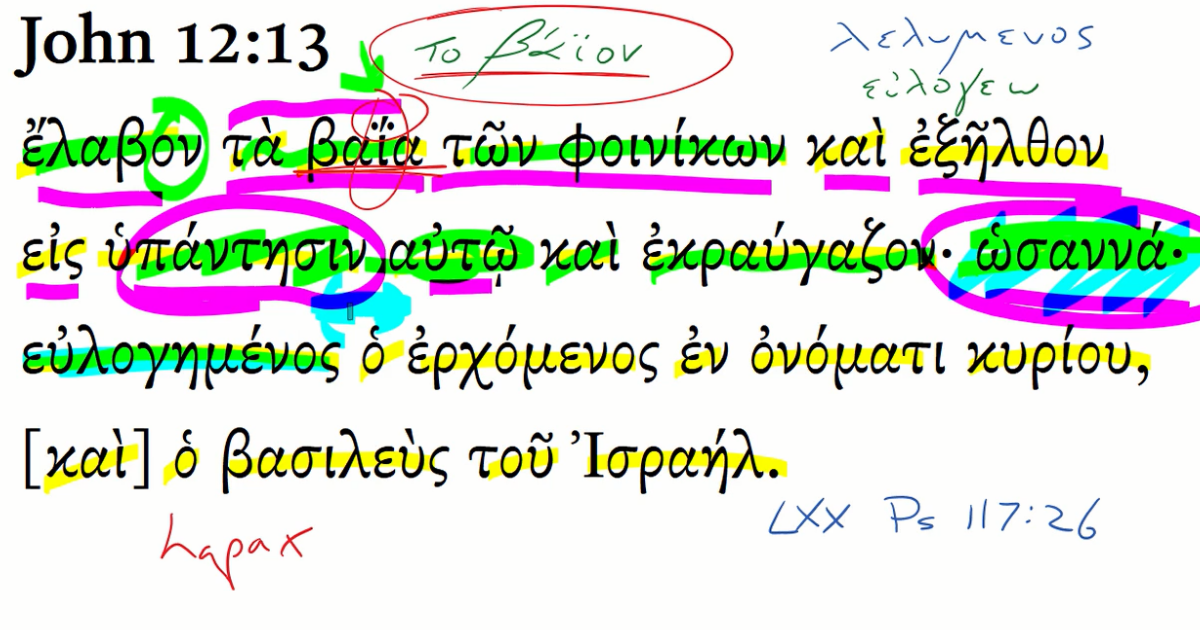 John 12:13 | Daily Dose of Greek
